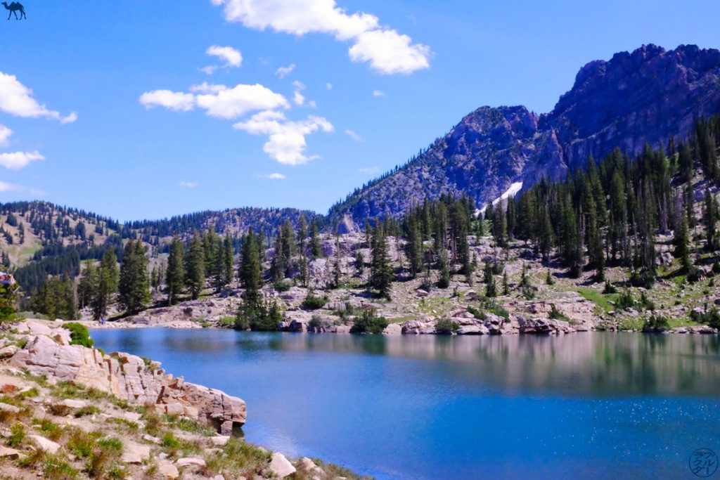 Salt Lake City : Escapade Au Cecret Lake - Le Chameau Bleu