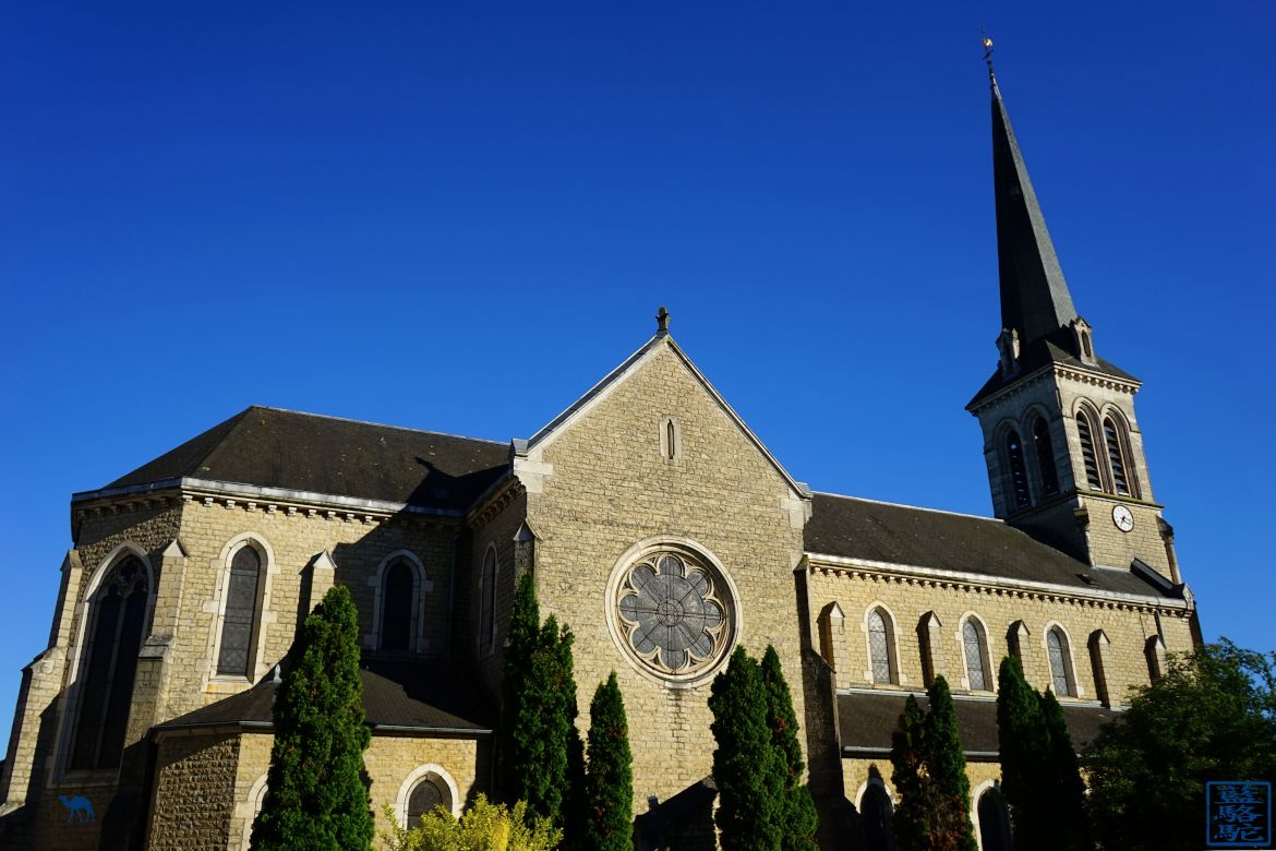 Voyage en Bourgogne - Vignes De Santenay - Le Chameau Bleu