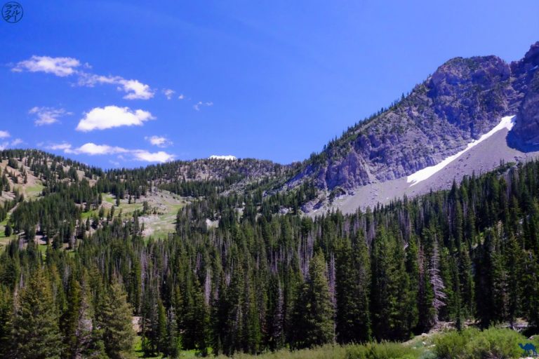 Salt Lake City : Escapade Au Cecret Lake - Le Chameau Bleu