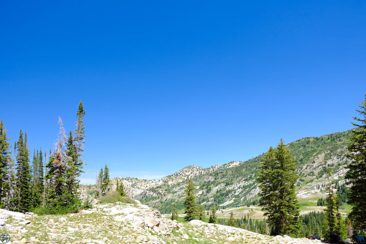 Salt Lake City : Escapade Au Cecret Lake - Le Chameau Bleu