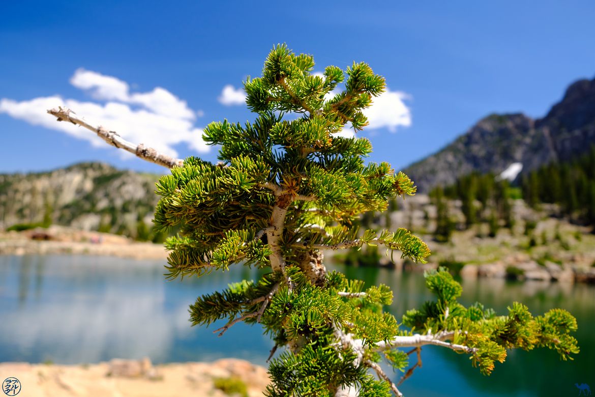 Salt Lake City : Escapade Au Cecret Lake - Le Chameau Bleu
