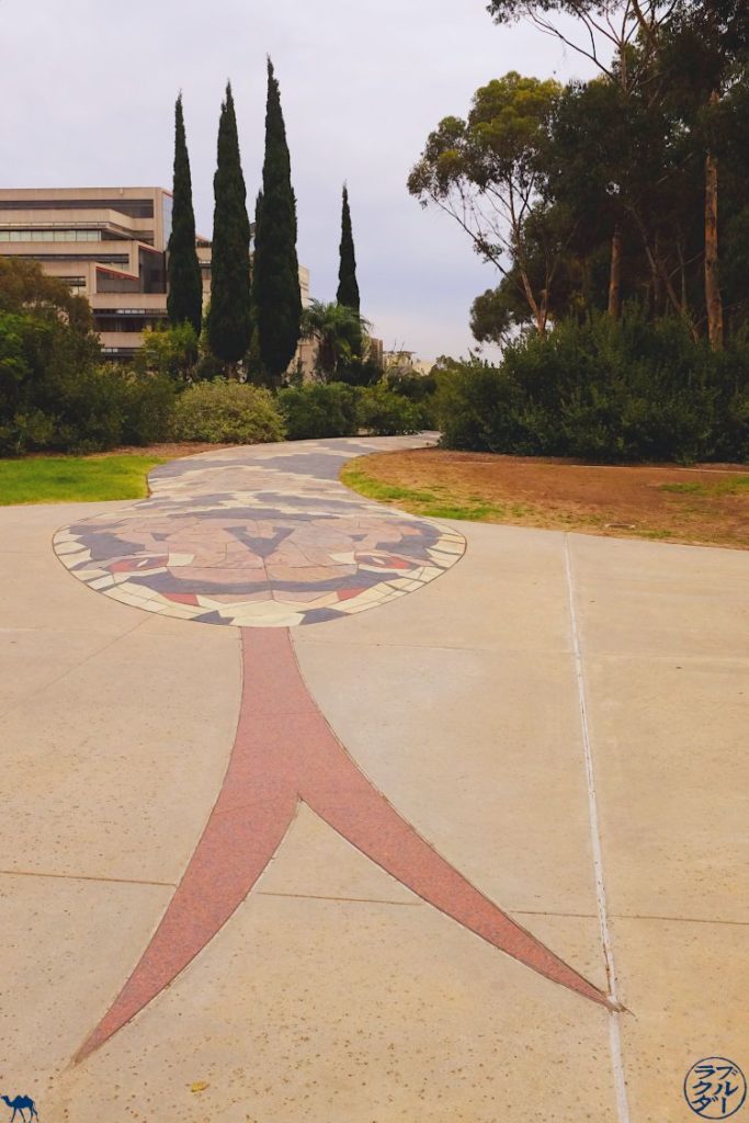 Voyage à San Diego - L'UCSD Musée à Ciel Ouvert - Le Chameau Bleu