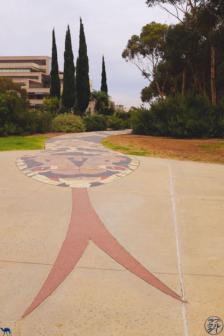 Voyage à San Diego - L'UCSD Musée à Ciel Ouvert - Le Chameau Bleu