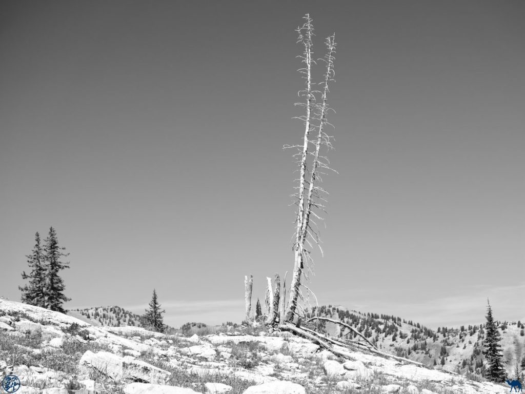 Salt Lake City : Escapade Au Cecret Lake - Le Chameau Bleu