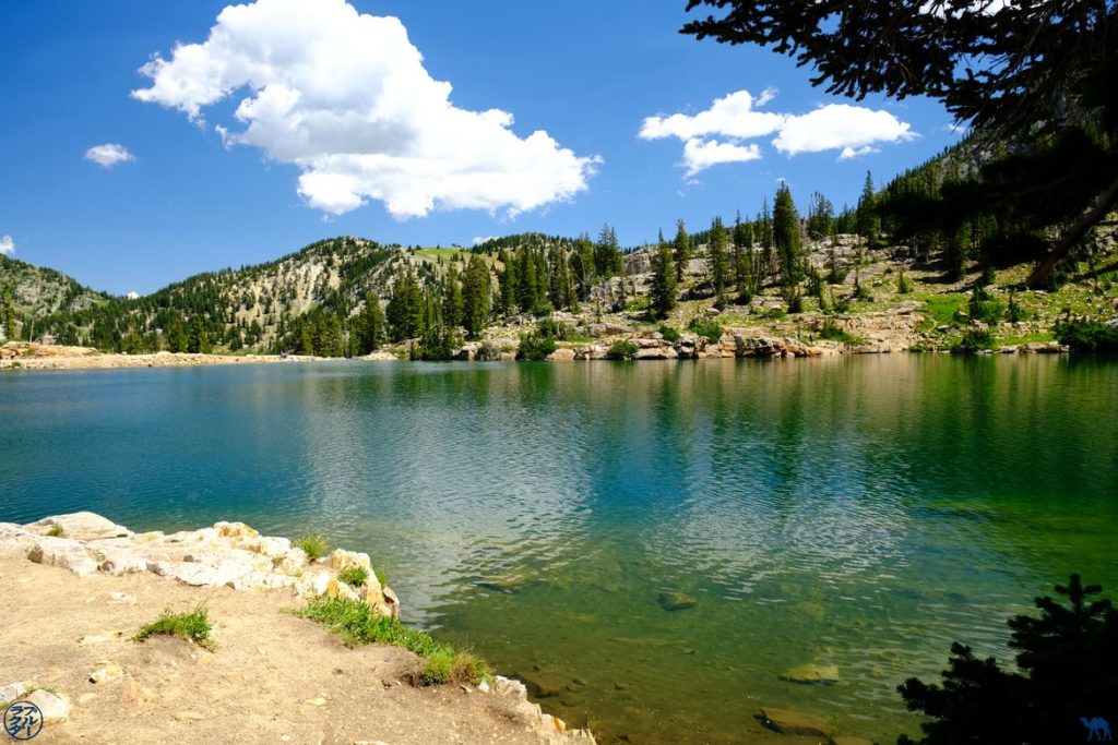 Salt Lake City : Escapade Au Cecret Lake - Le Chameau Bleu